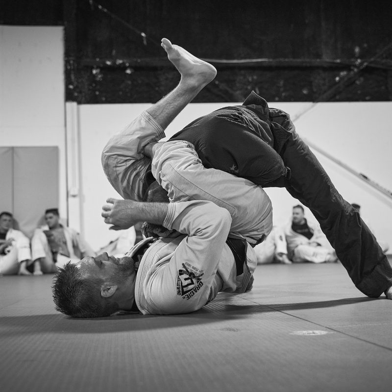 Jiu-Jitsu • Pedro Sauer BJJ Association
