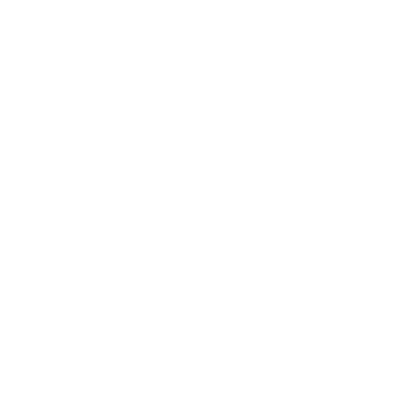 Pedro Sauer Association: Global Brazilian Jiu-Jitsu Brand